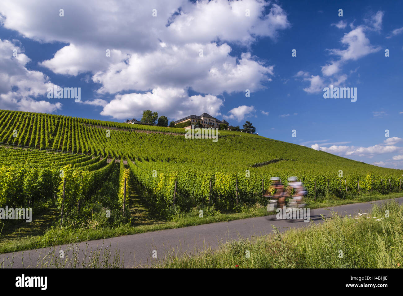 Geisenheim hi-res stock photography and images - Alamy