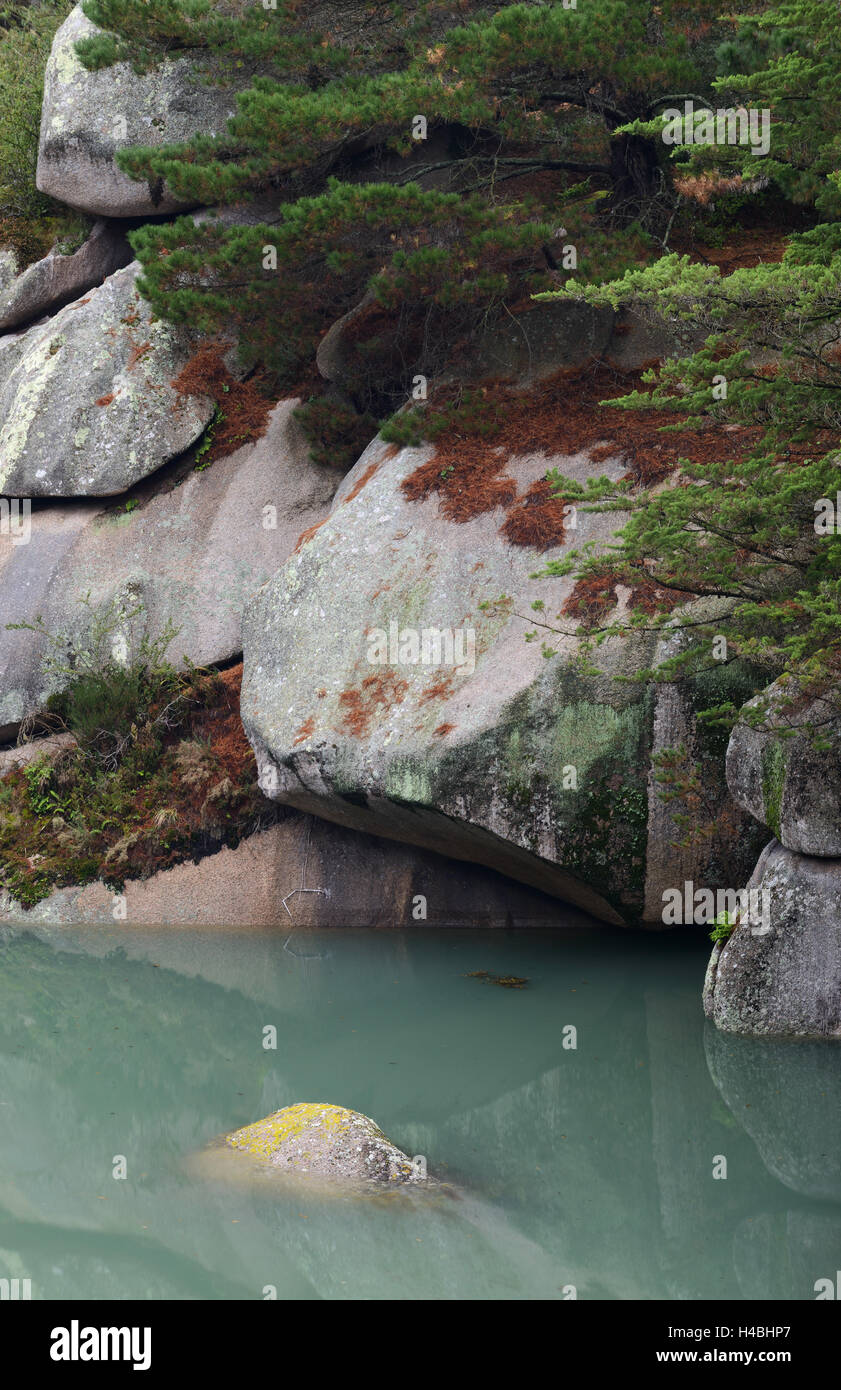 France, Brittany, Côtes-d'Armor, Côte de granite rose, Ploumanac'h ...