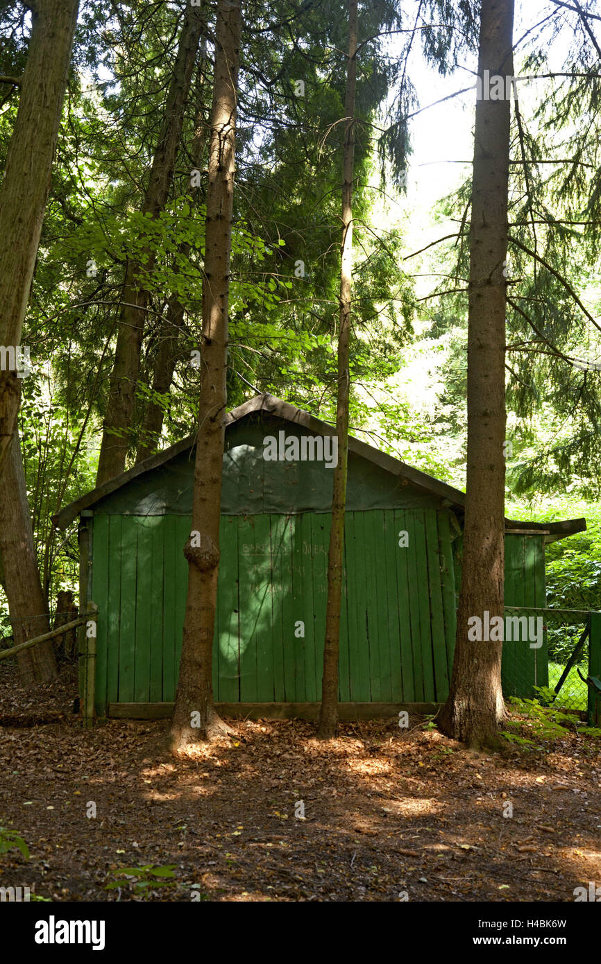 Shed, wood, forest, green Stock Photo - Alamy