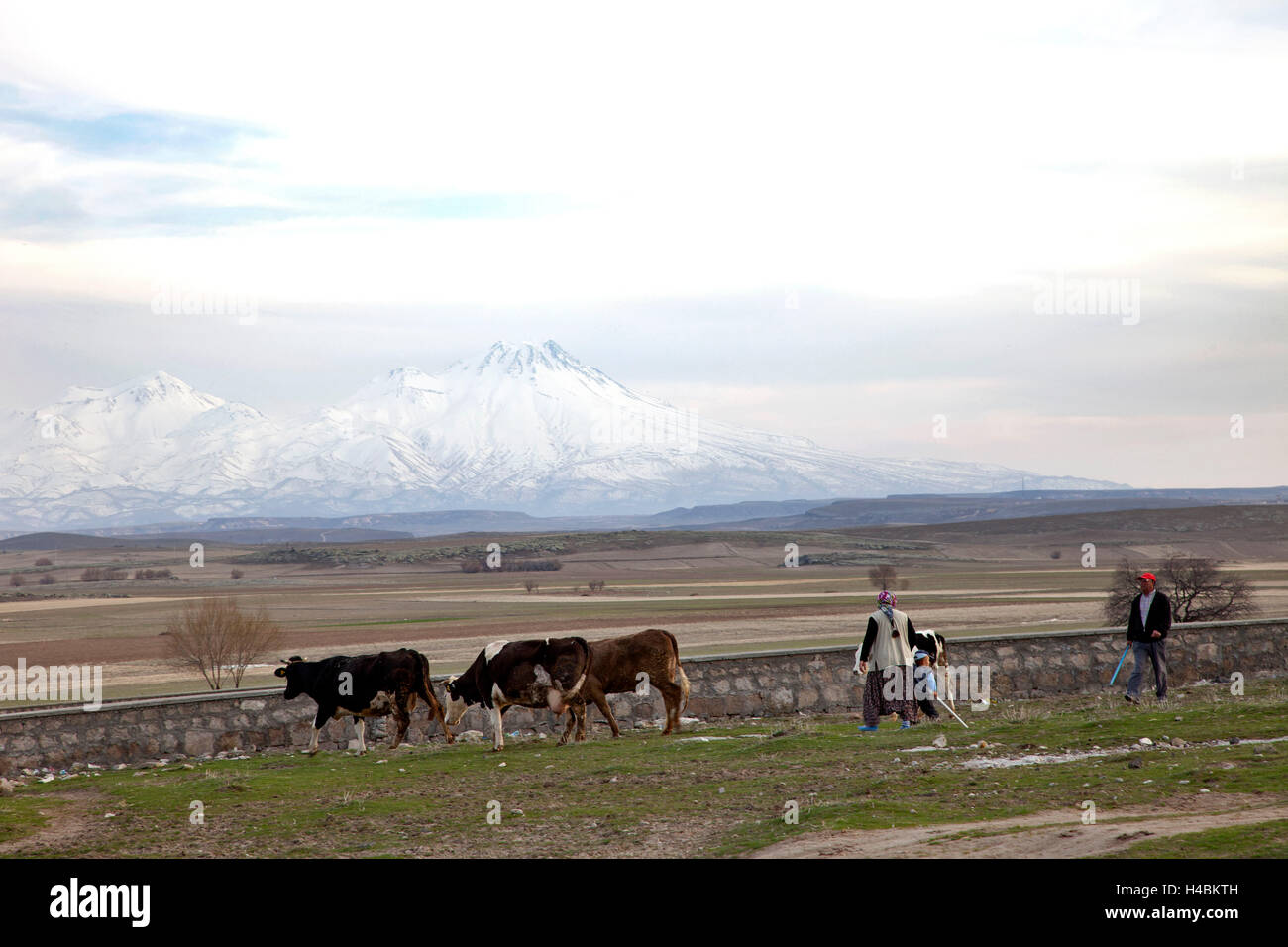 Turkey, Anatolia, volcano, Cappadocia Stock Photo - Alamy