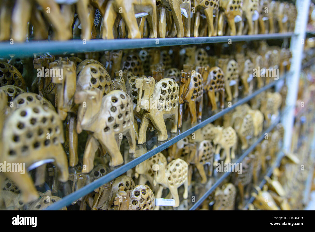 Camel marrakech morocco hi-res stock photography and images - Alamy