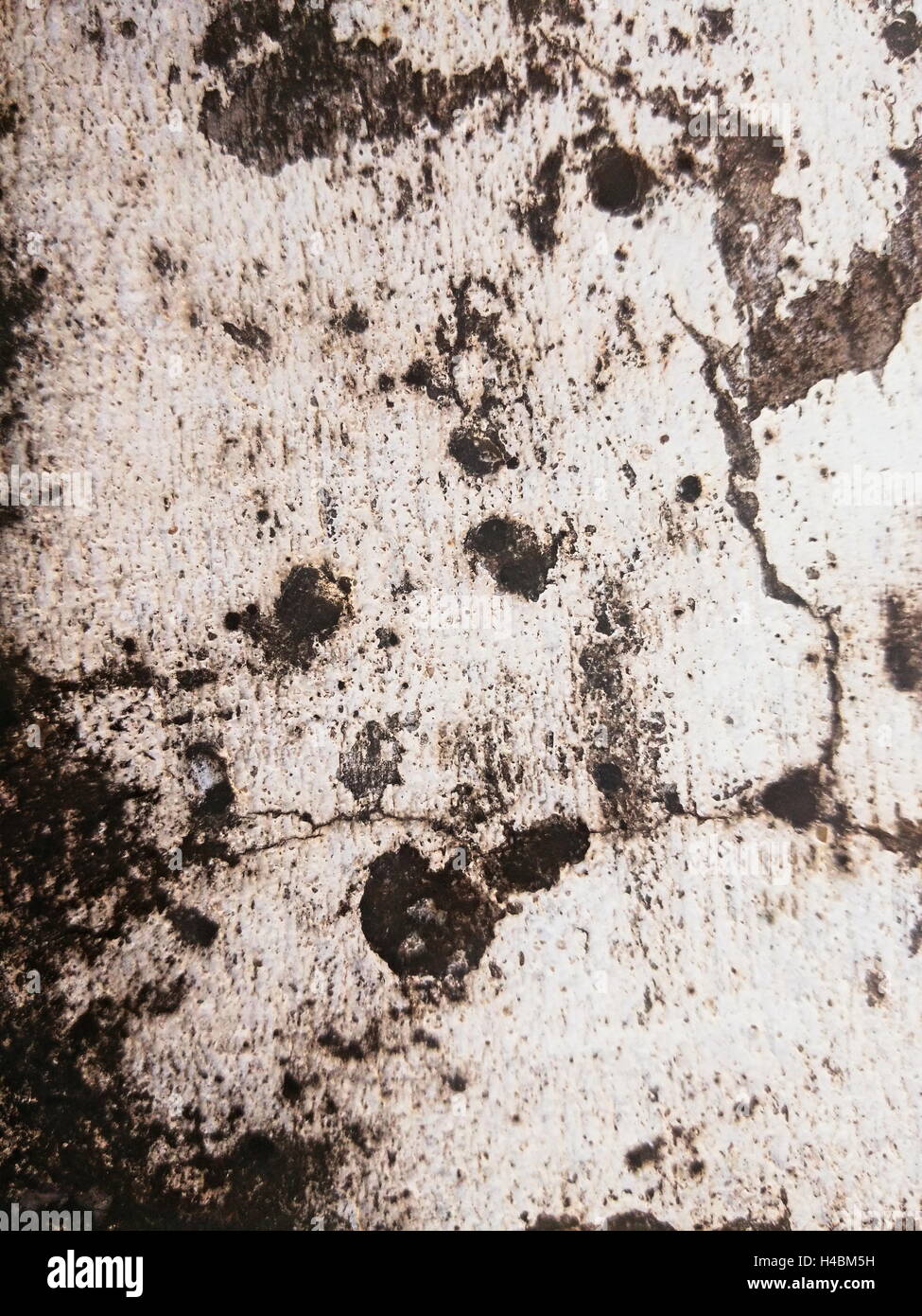 Rough concrete surface texture hi-res stock photography and images - Alamy