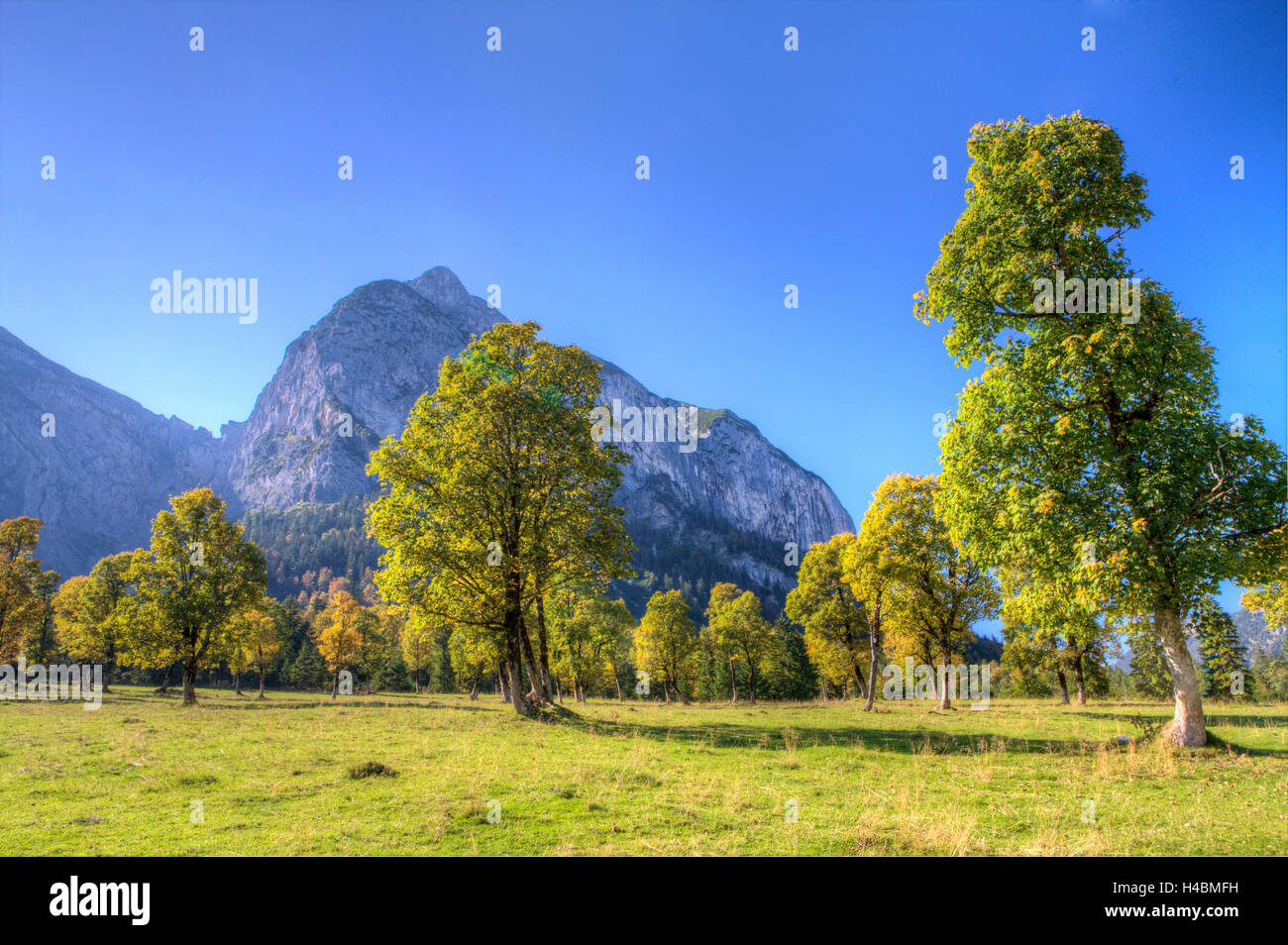 Große Ahornböden, Engtal, Eng, Tyrol, Austria, Alpenpark Karwendel ...