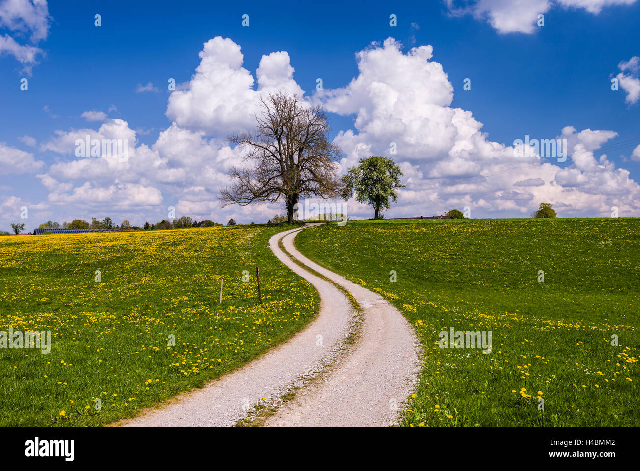 Schmitten germany hi-res stock photography and images - Alamy