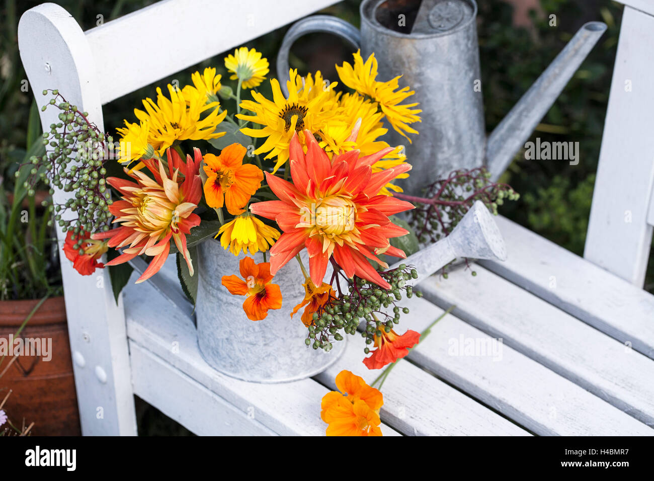 Autumn flowers on garden bench Stock Photo - Alamy