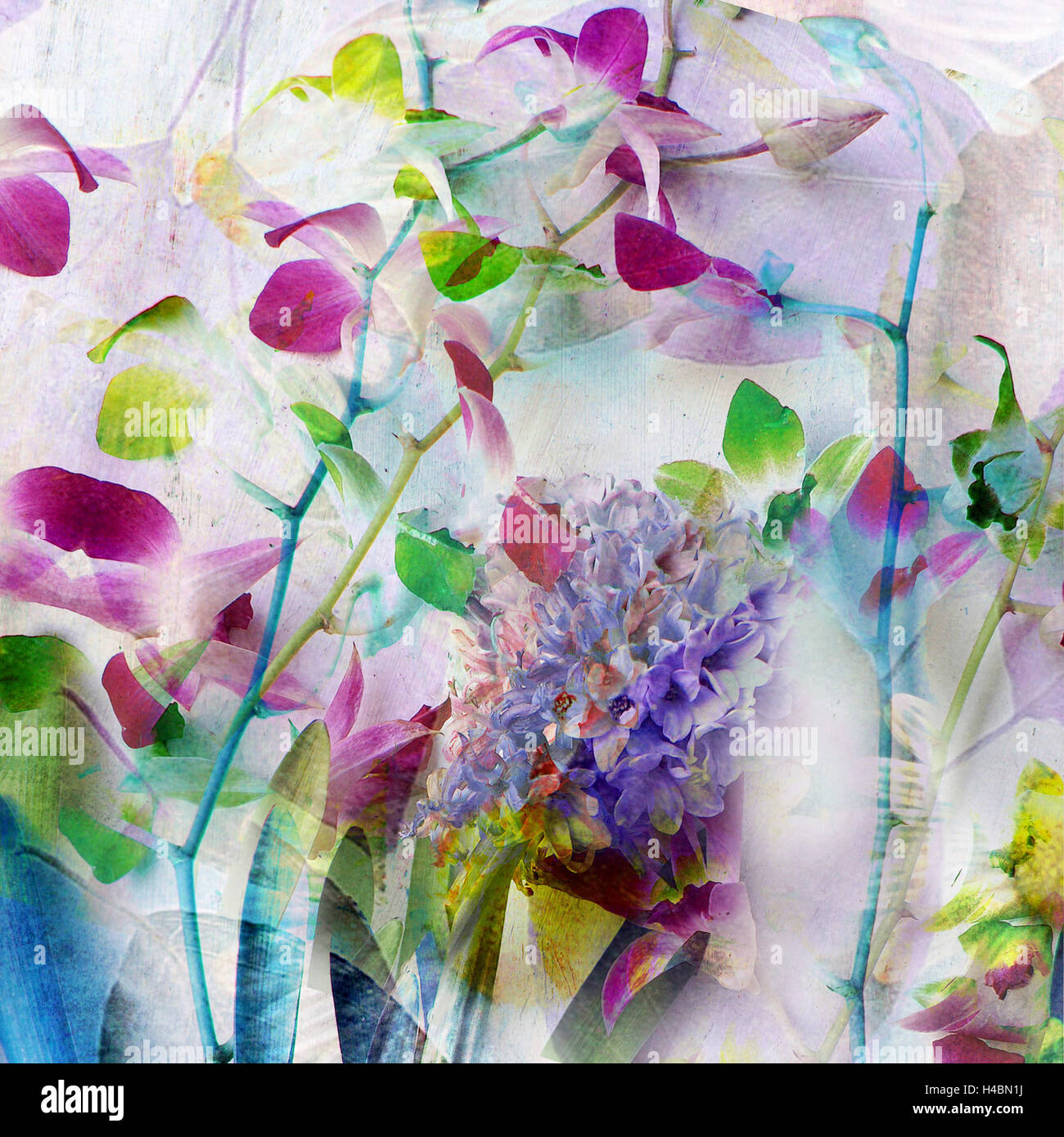 a floral montage photographic layer work Stock Photo - Alamy