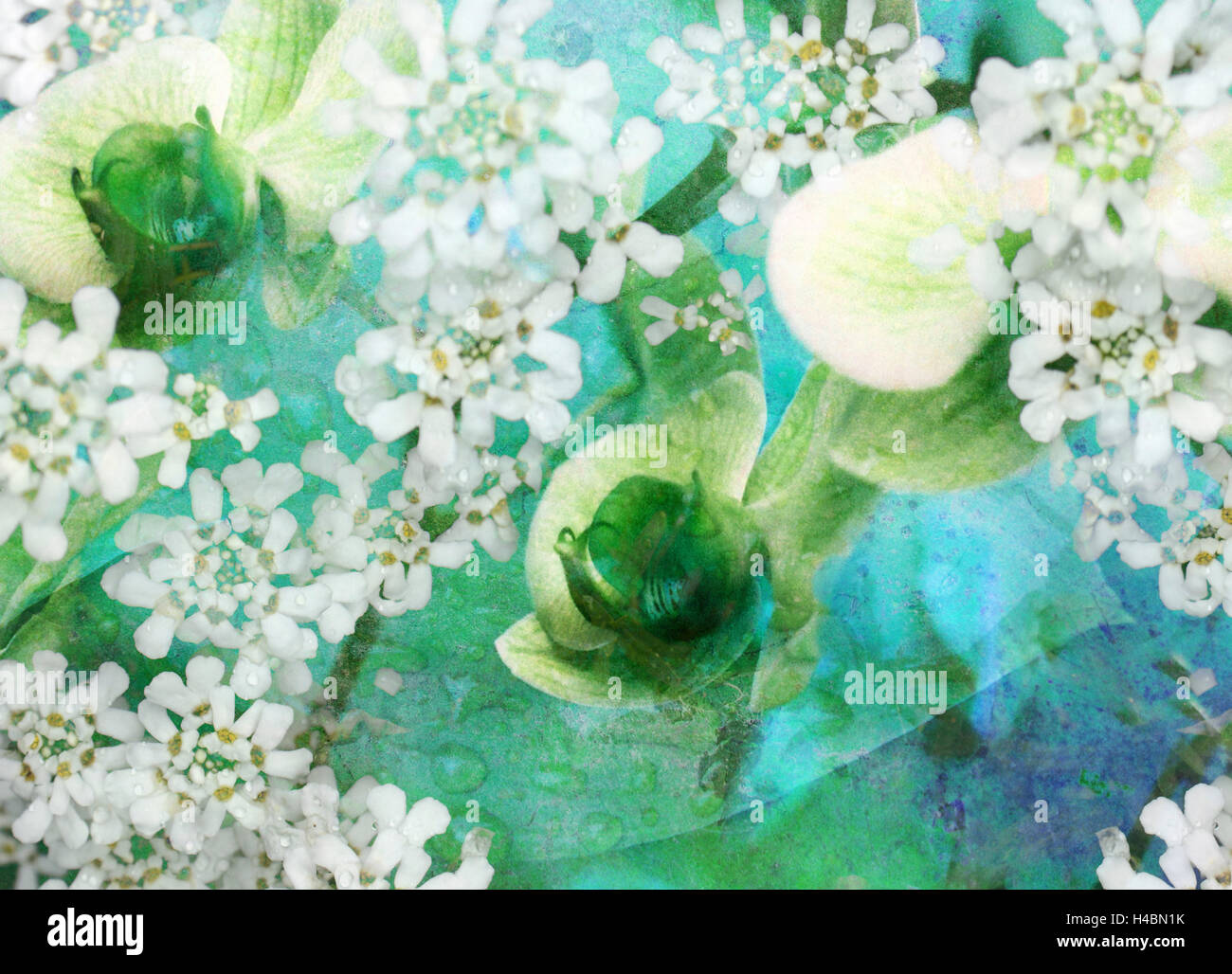 A Floral Montage Stock Photo - Alamy