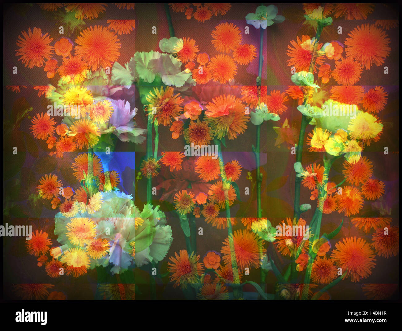 an abstract geometric floral montage photographic layer work Stock ...