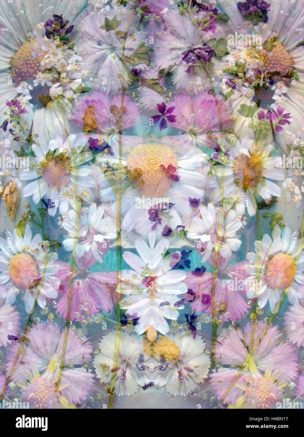 an estival floral montage from acre flowers Stock Photo - Alamy