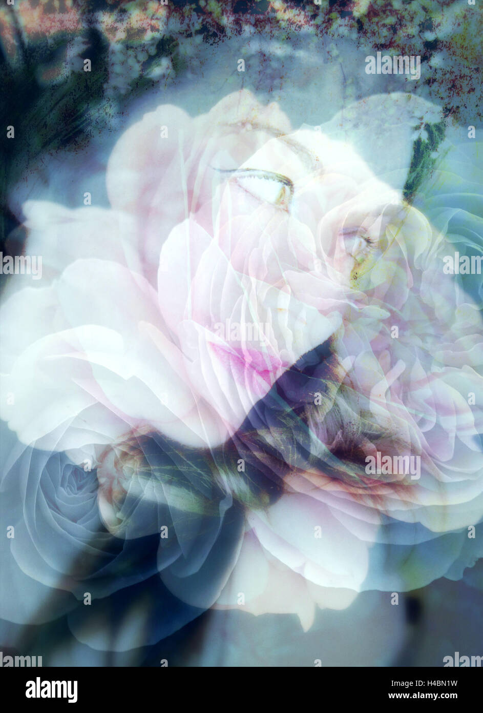 a poetic floral montage of a portrait Stock Photo - Alamy