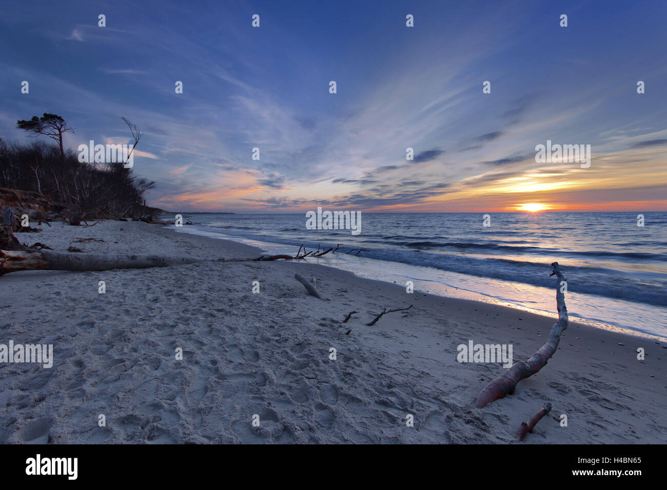 The Baltic Sea, sun, sundown, coast, shore, beach, sand, trees, wood ...