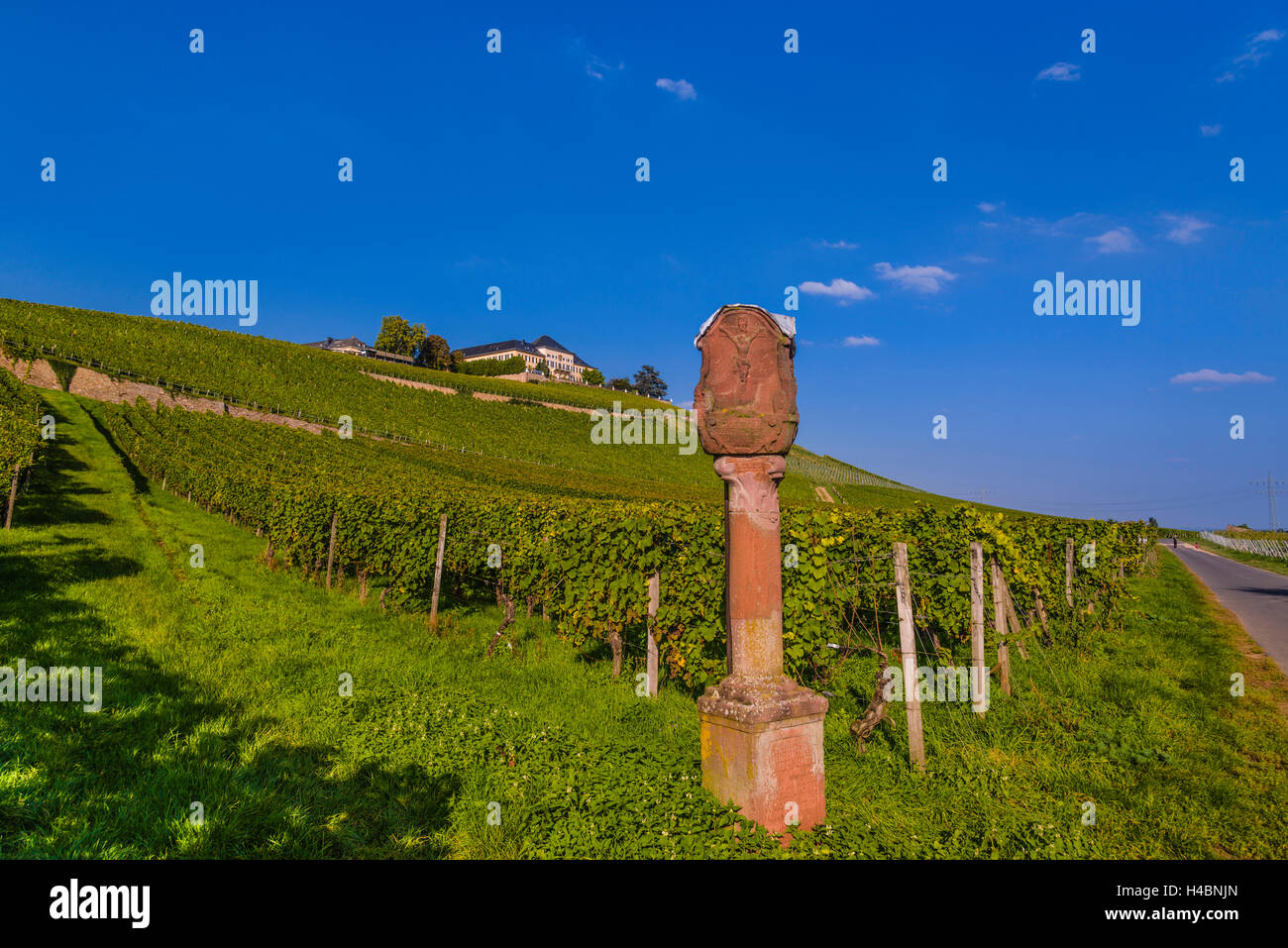 Germany, Hesse, Rheingau region, Geisenheim, district Johannisberg ...