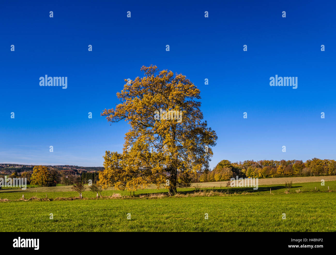 Germany, Bavaria, Upper Bavaria, Fünfseenland area, Lake Starnberg ...