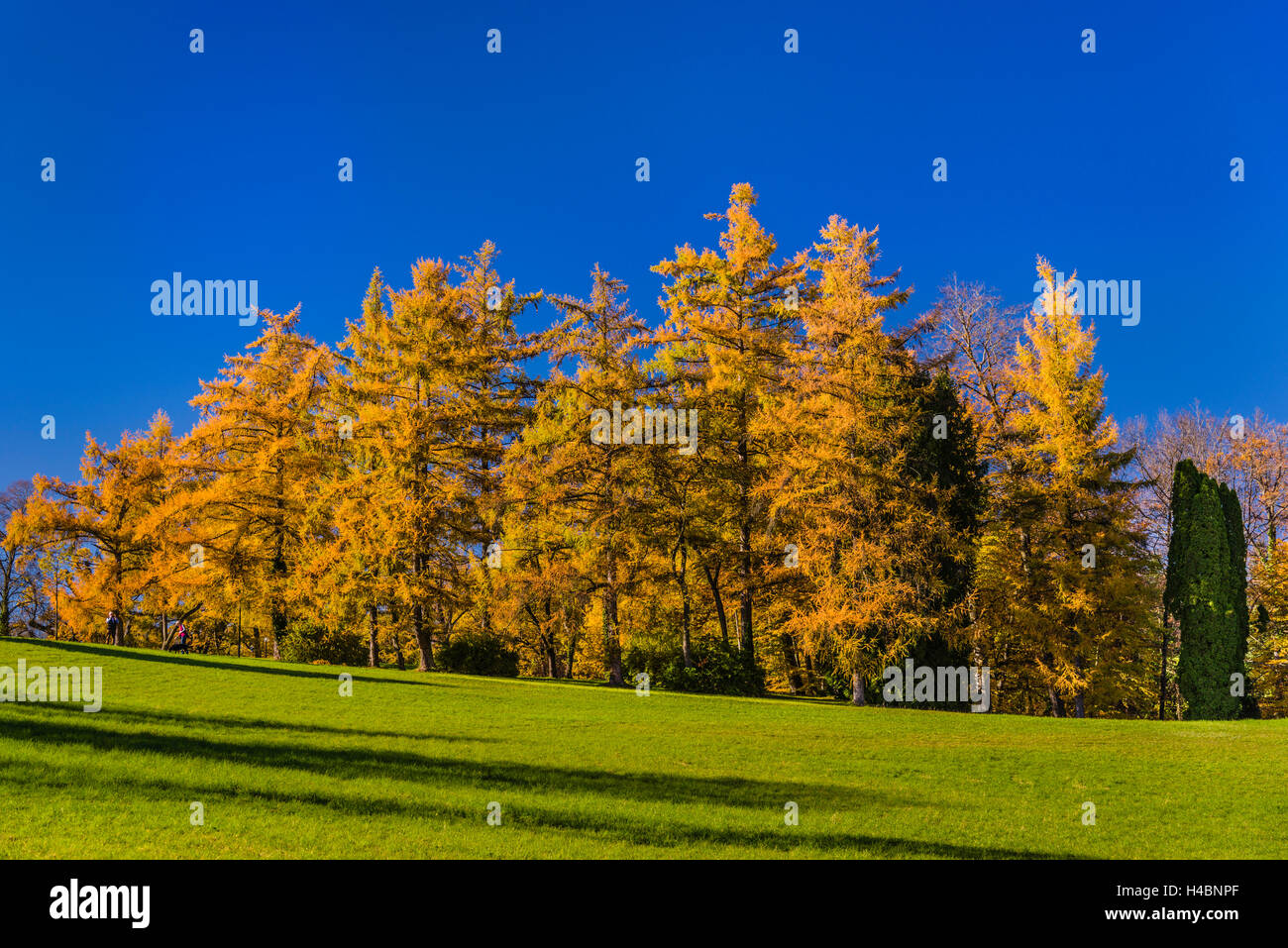 Germany, Bavaria, Upper Bavaria, Fünfseenland area, Lake Starnberg ...