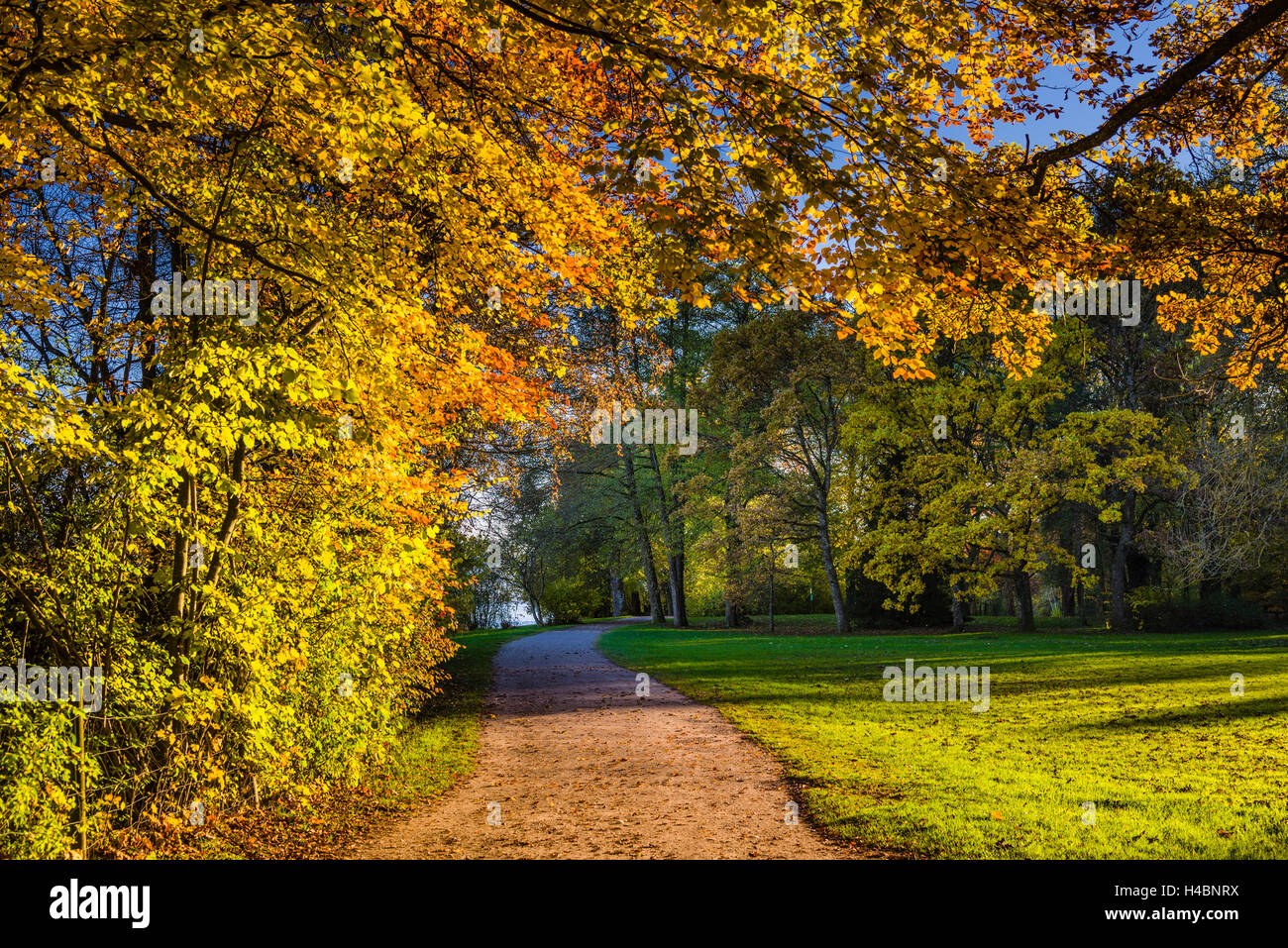 Germany, Bavaria, Upper Bavaria, Pfaffenwinkel, Fünfseenland area ...