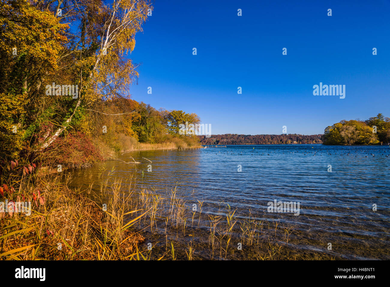 Germany, Bavaria, Upper Bavaria, Pfaffenwinkel, Fünfseenland area ...