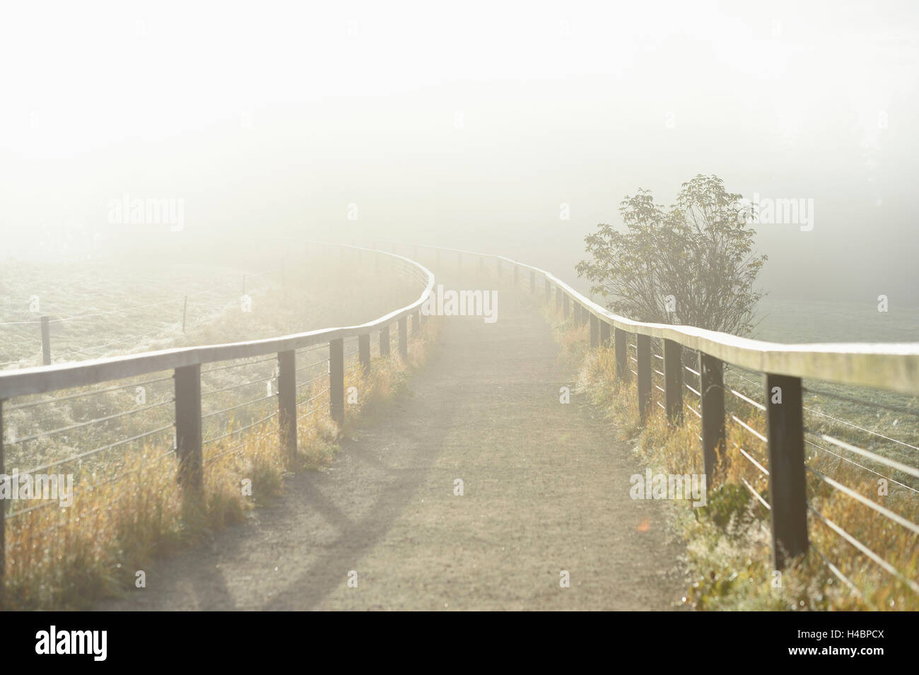 Landscape, path, fog Stock Photo - Alamy