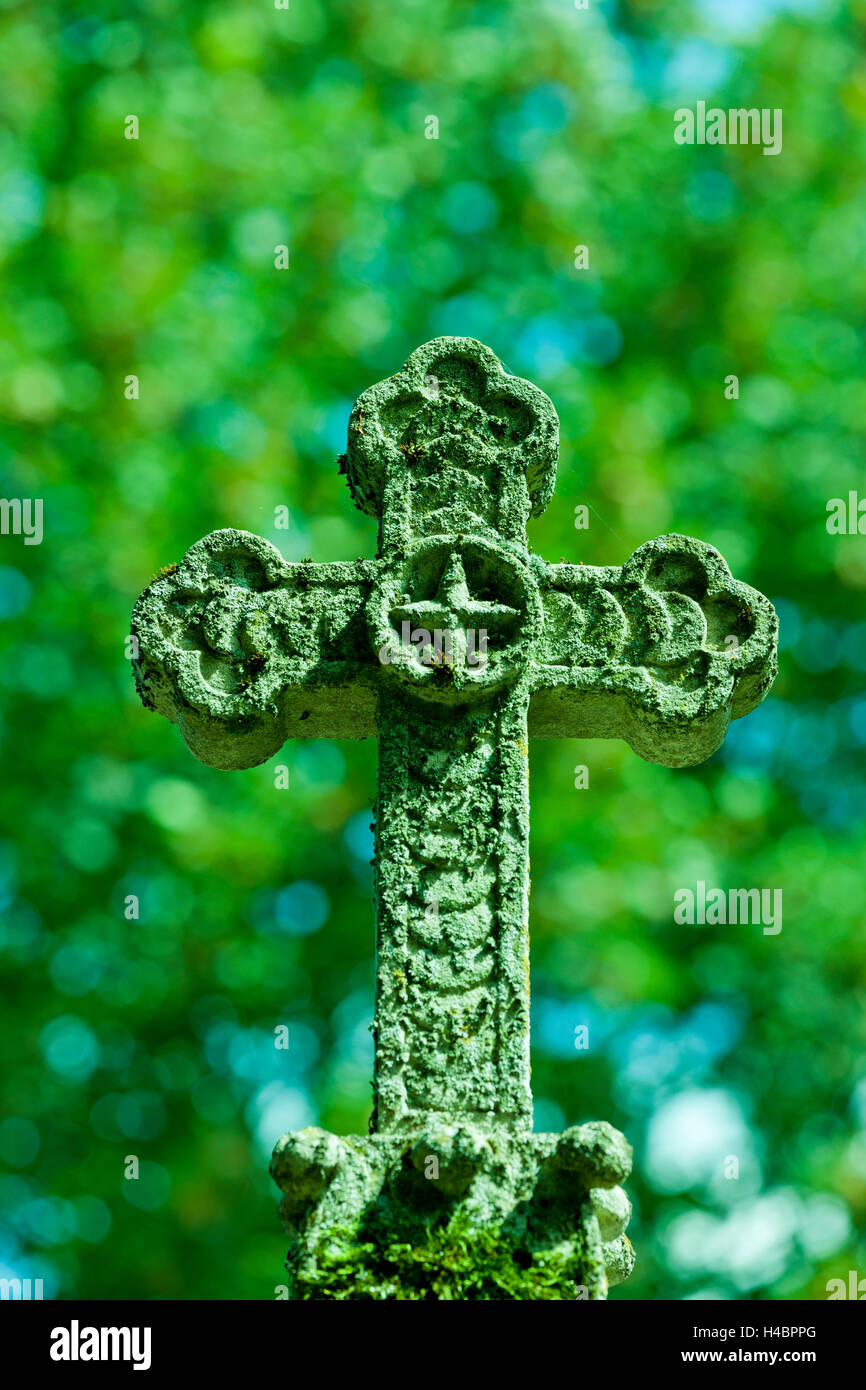 Moss covered stone hi-res stock photography and images - Alamy