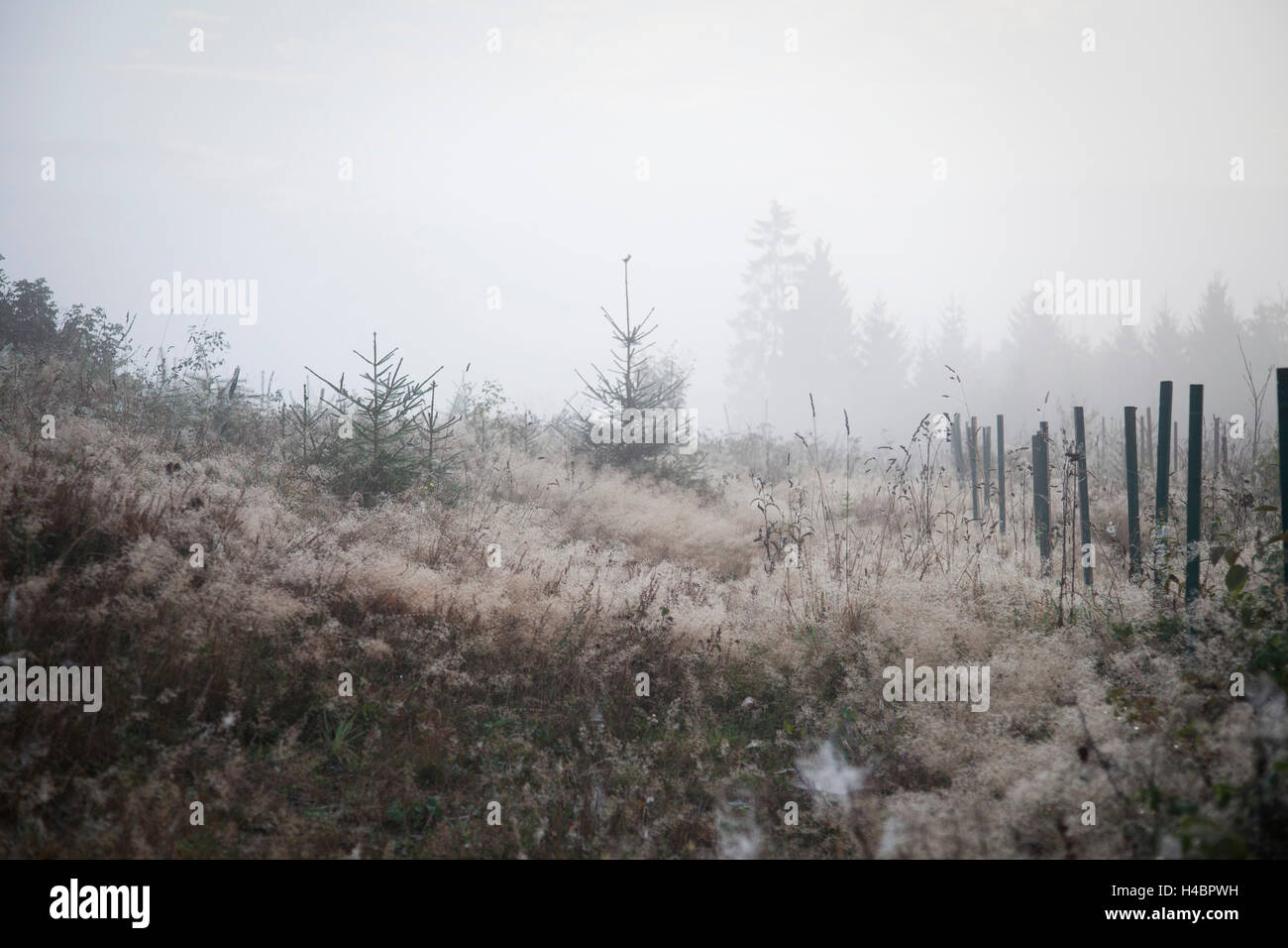 Fog Clearing High Resolution Stock Photography and Images - Alamy