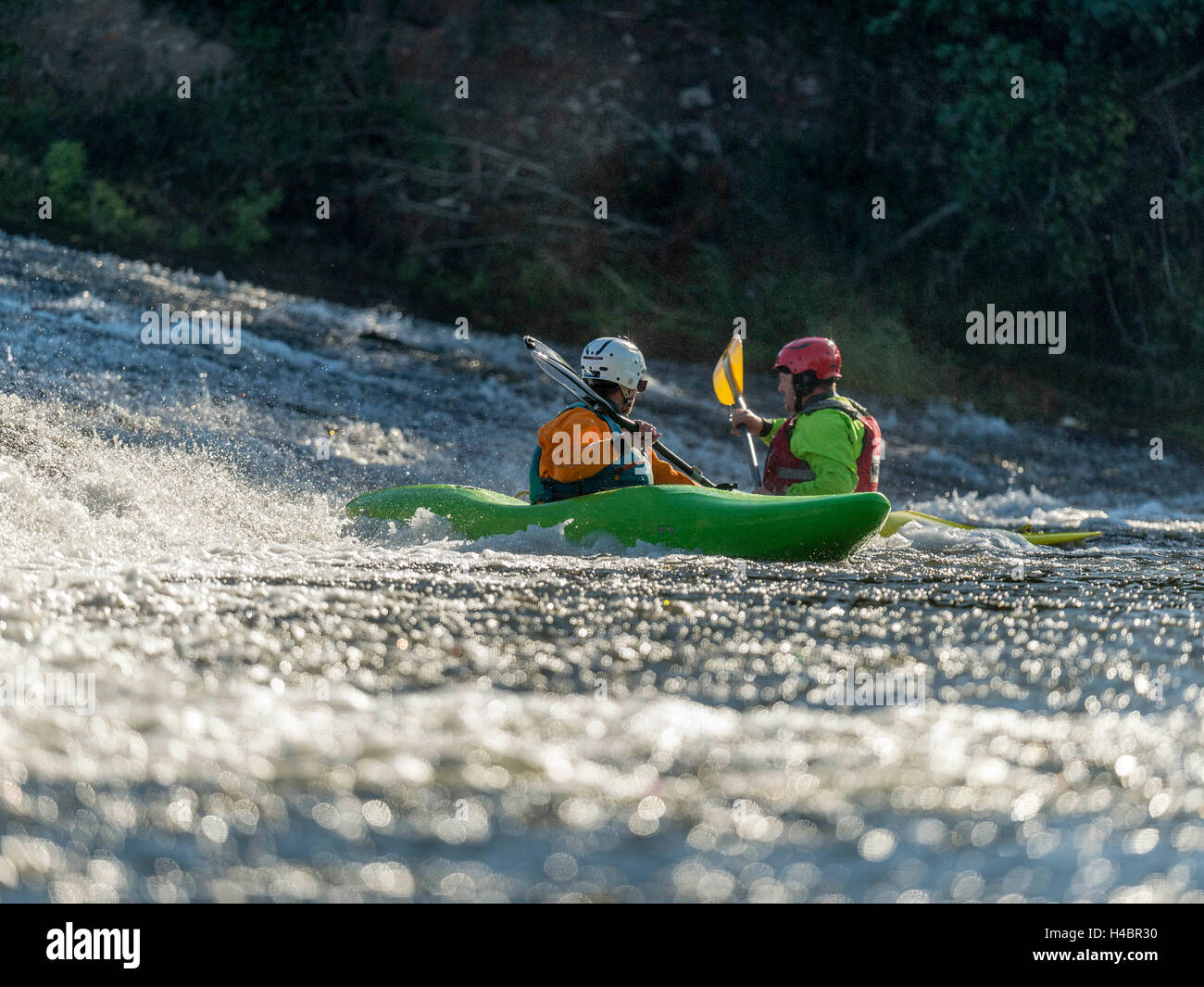 Two male adults White Water Kayaking along a River Exe Weir on a bright ...