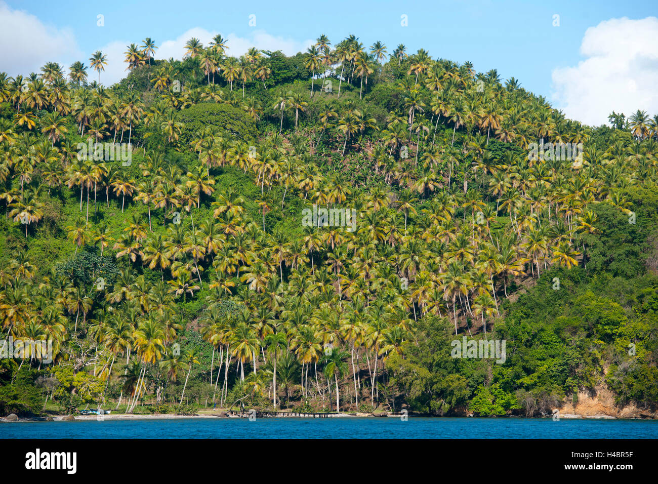 The Dominican Republic, peninsula Samana, Santa Barbara de Samana ...