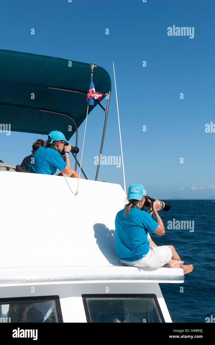 The Dominican Republic, peninsula Samana, Santa Barbara de Samana, boot ...
