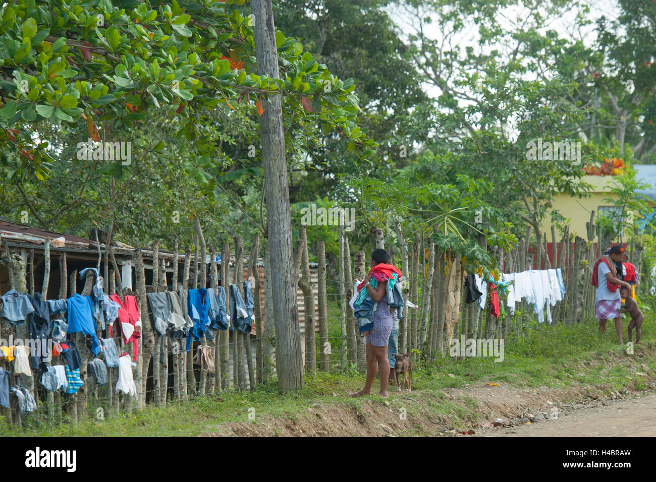 The Dominican Republic, the east, in the village Lagina to the west of ...