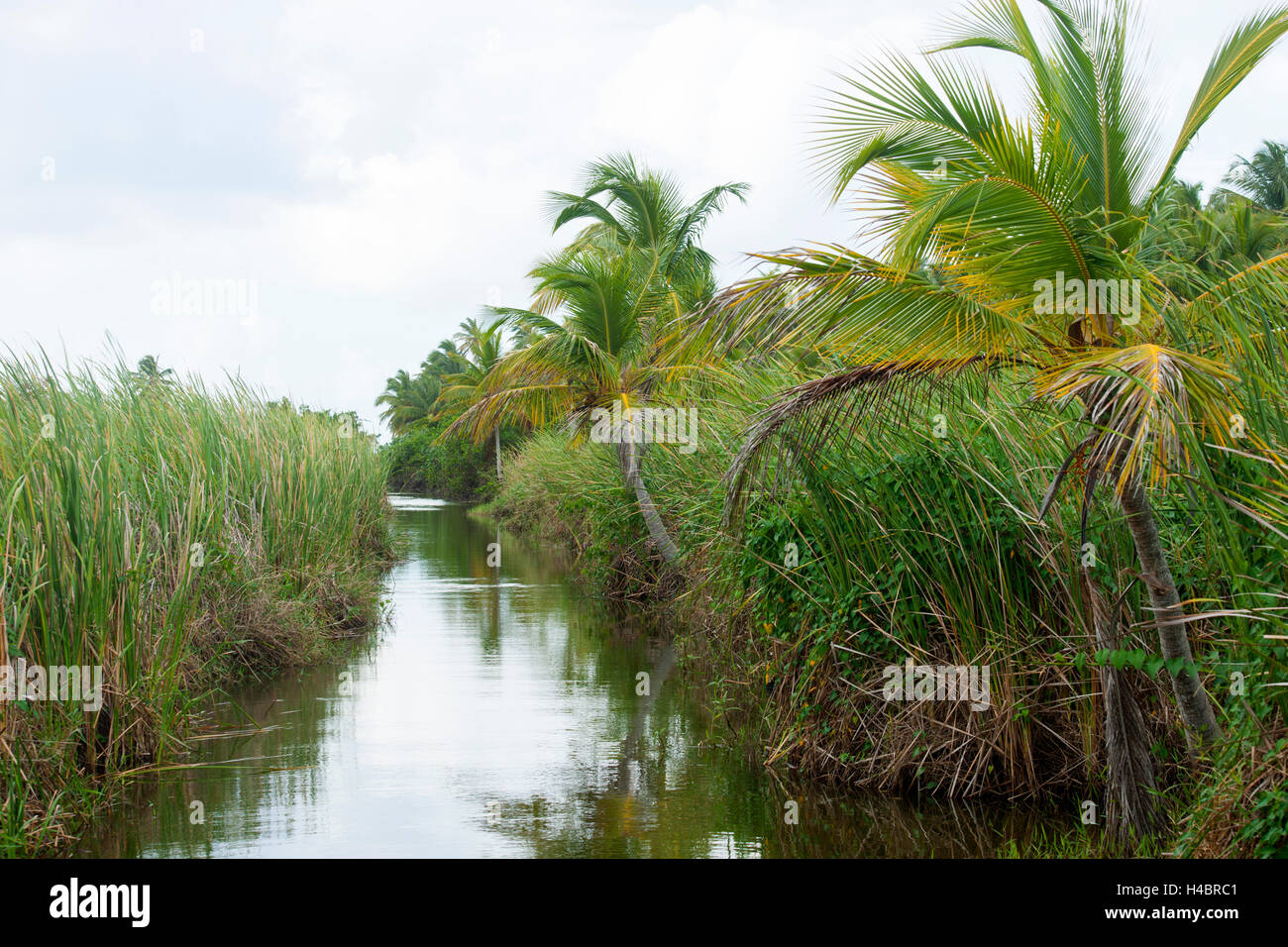 West redonda island hi-res stock photography and images - Alamy