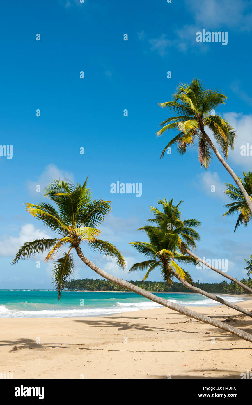 The Dominican Republic, the east, tablespoon Cedro, beach Playa Limon ...