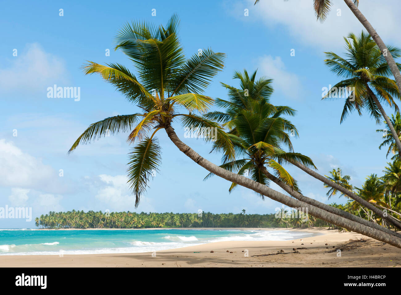 The Dominican Republic, the east, tablespoon Cedro, beach Playa Limon ...