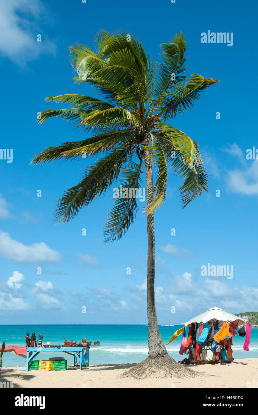 The Dominican Republic, the east, Punta Cana, Macao, beach of Macao ...