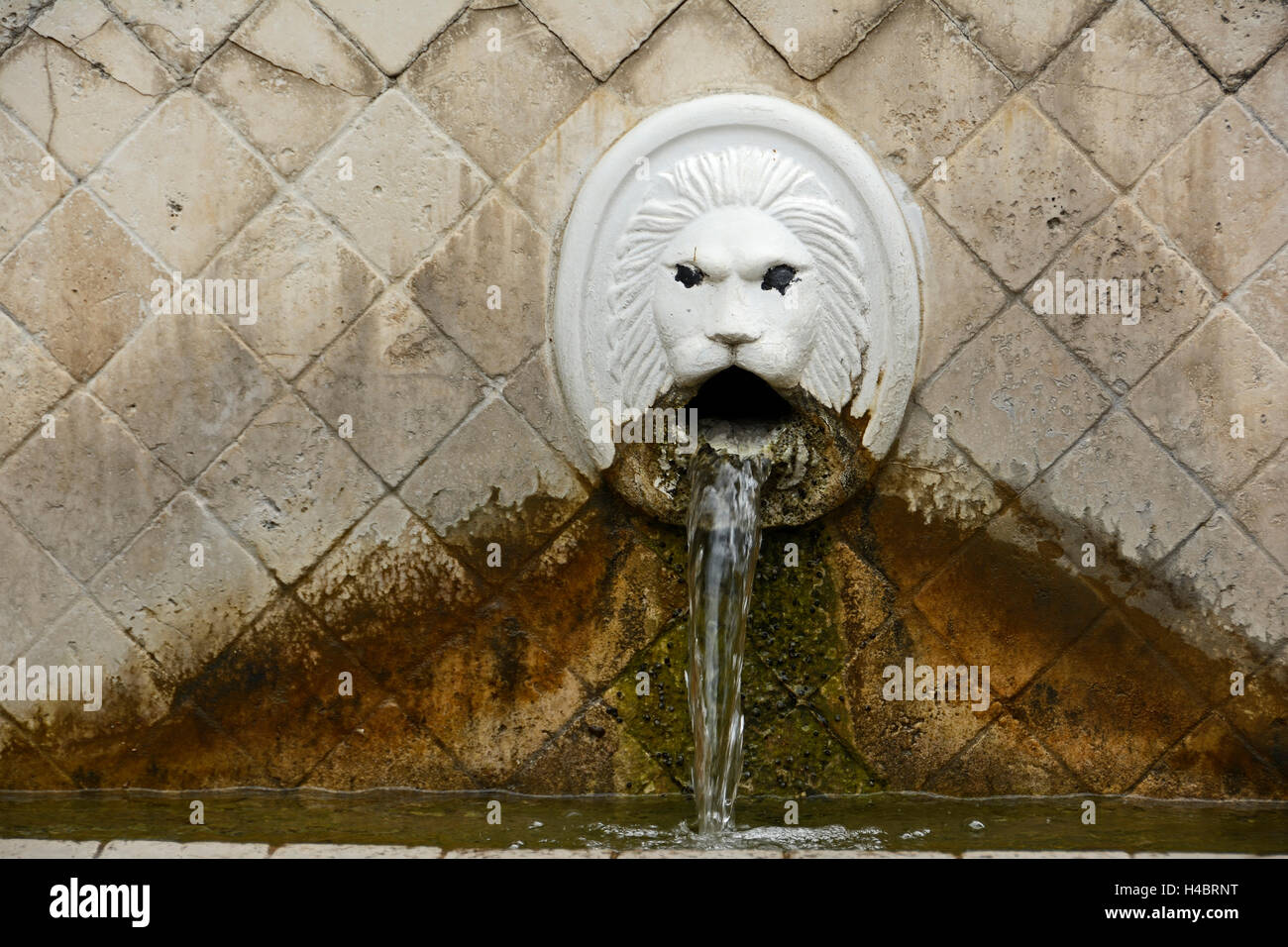 Crete, lion fountain of Spili Stock Photo - Alamy