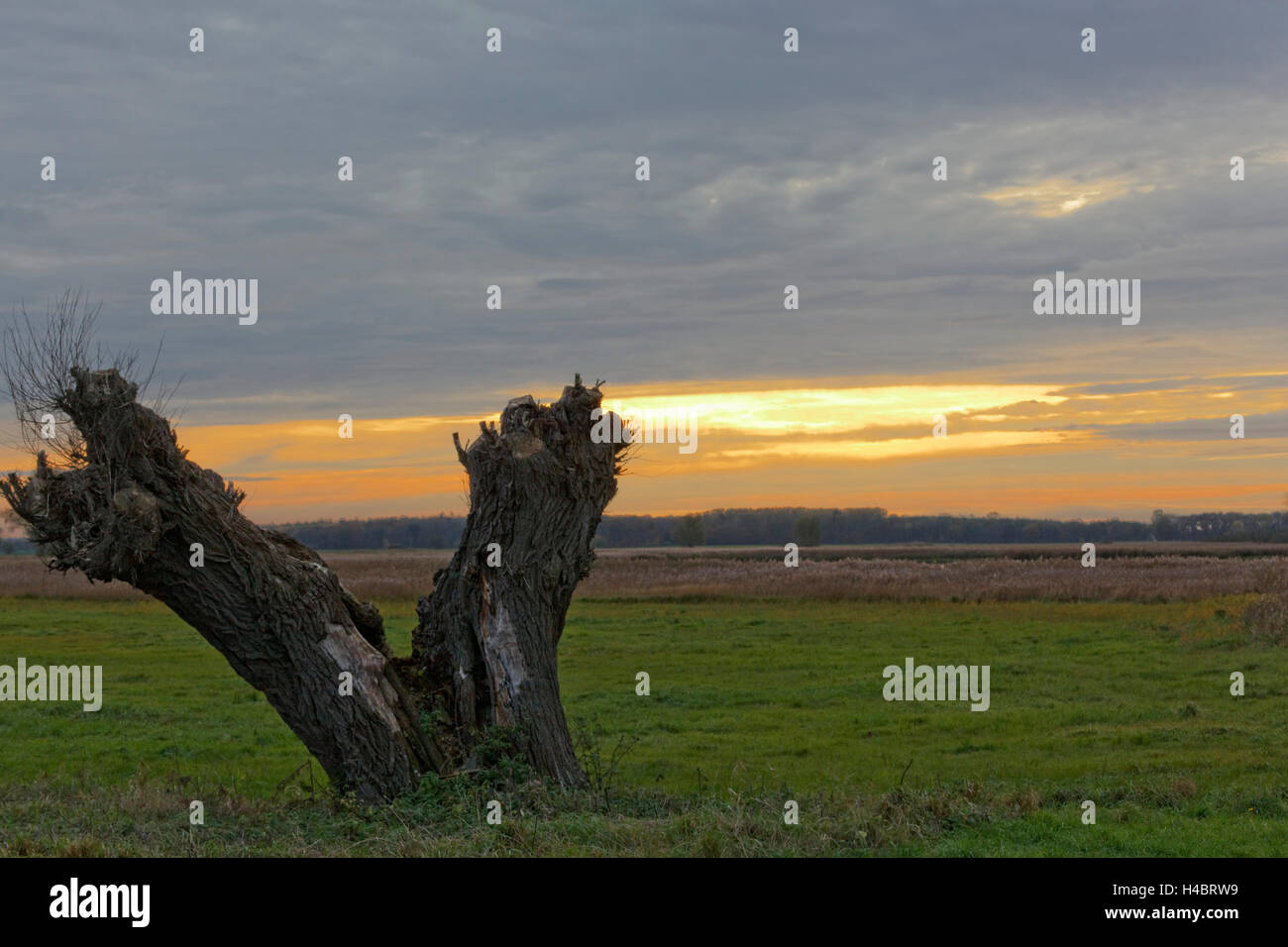 Broad landscape hi-res stock photography and images - Alamy