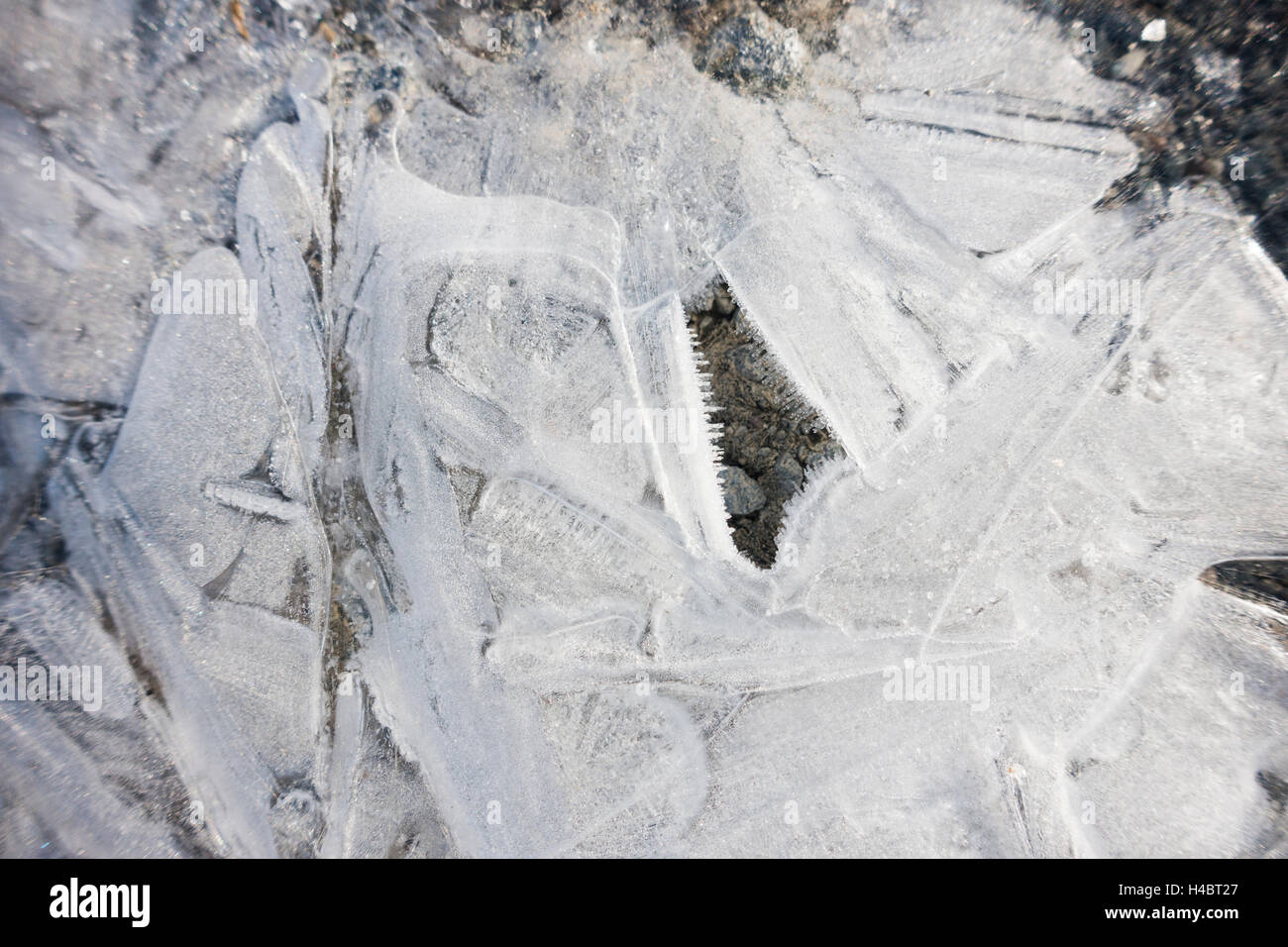 Ice crystals of a puddle Stock Photo - Alamy