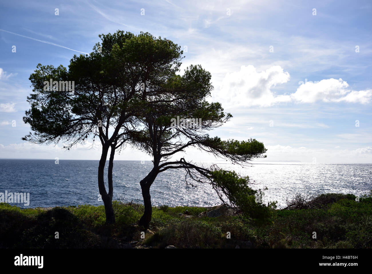 Bay of Cala Pi, island Majorca, Spain, Europe Stock Photo - Alamy