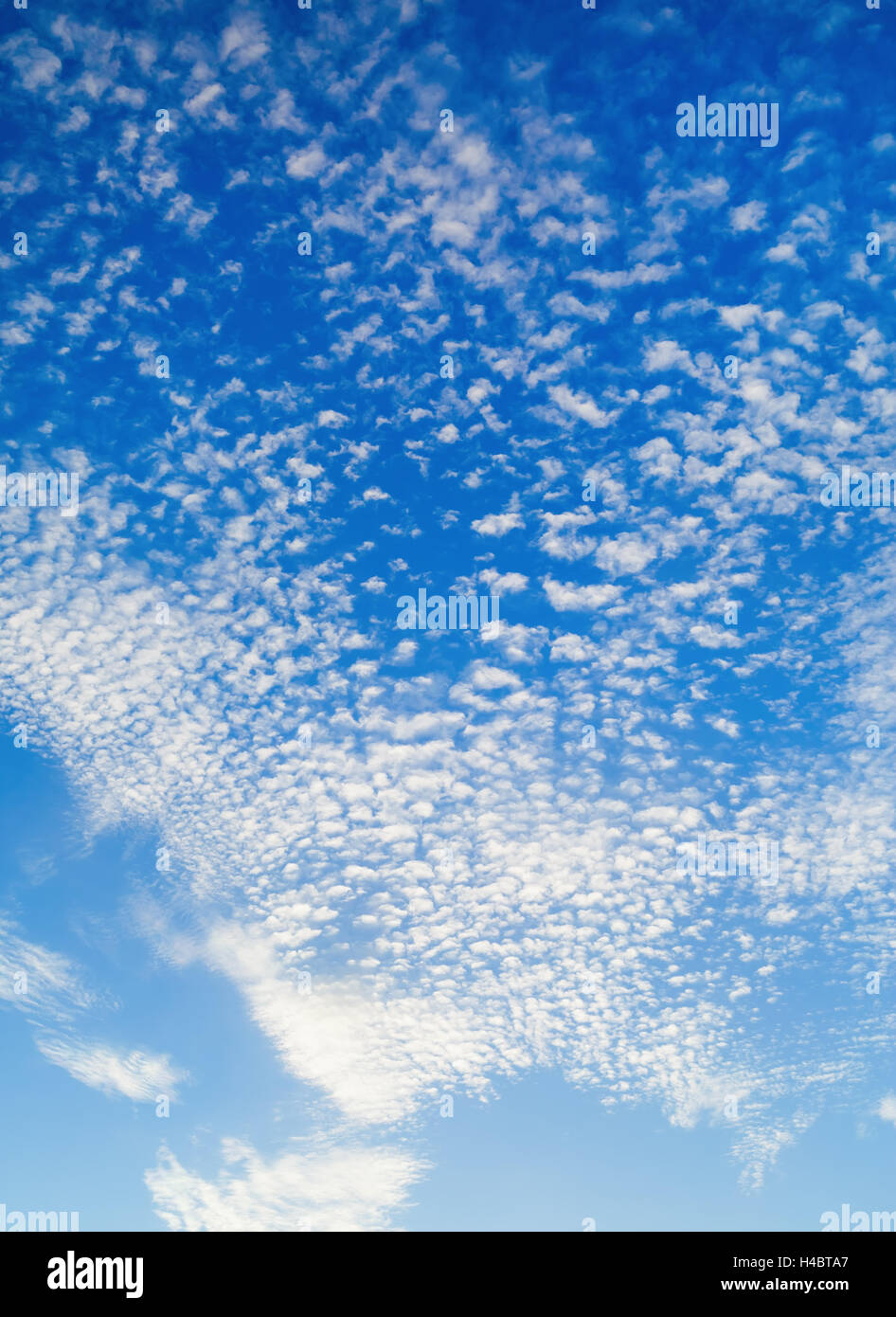 Blue sky with many small fluffy white clouds Stock Photo - Alamy