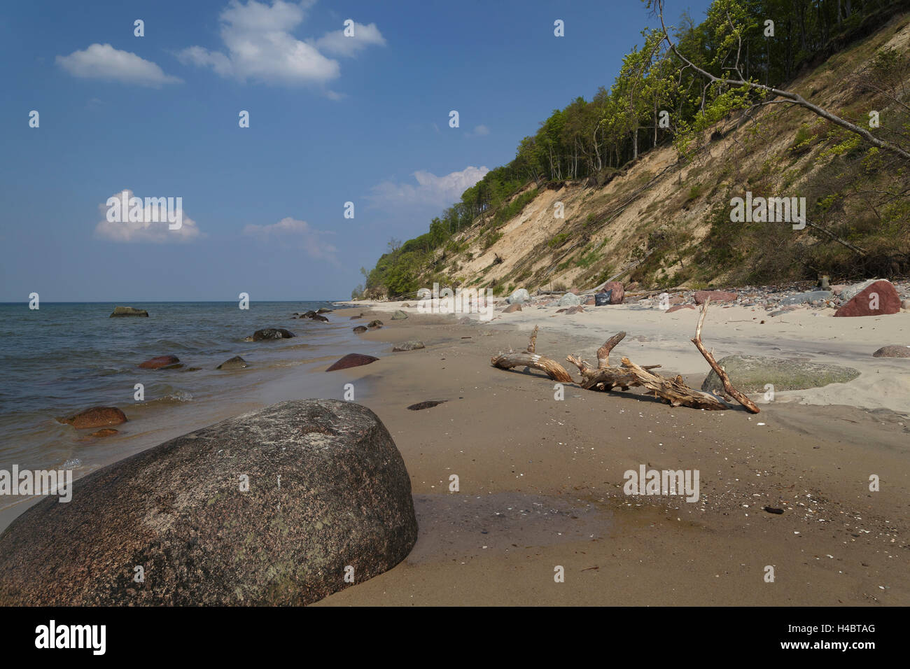 Beach and steep coast at the Baltic Sea in the Wolin National Park ...