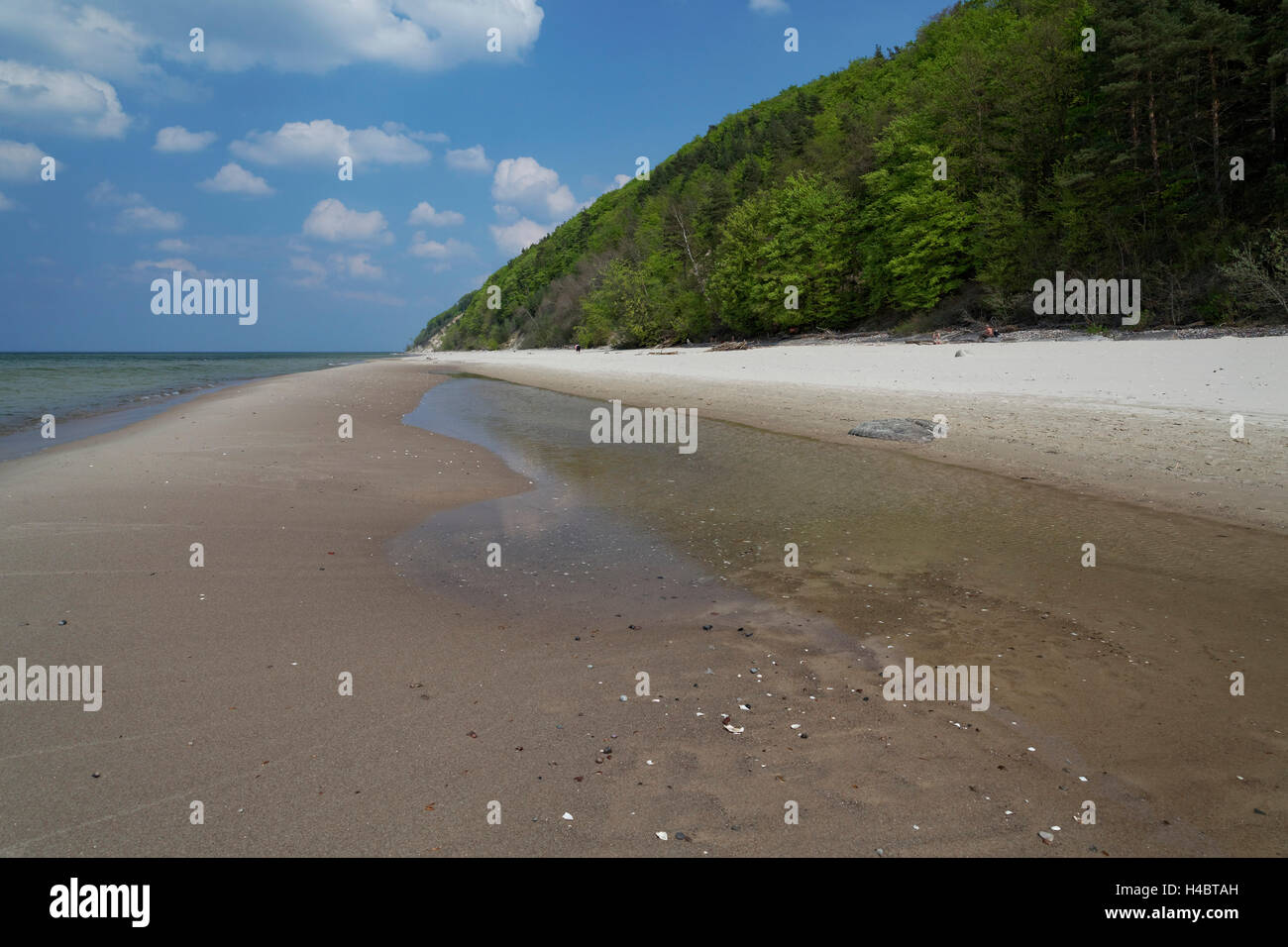 Beach and steep coast at the Baltic Sea in the Wolin National Park ...