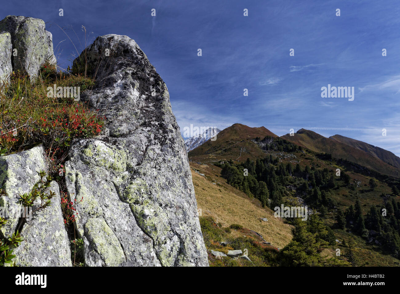 Alpine landscape on the Ahorn massif in the high mountain nature ...
