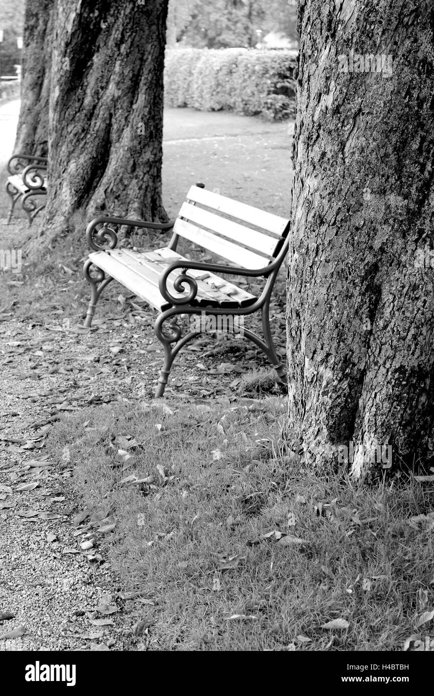 Trees park hi-res stock photography and images - Alamy