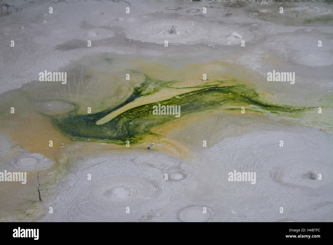 Algae in the Hotspot of a volcano Stock Photo - Alamy