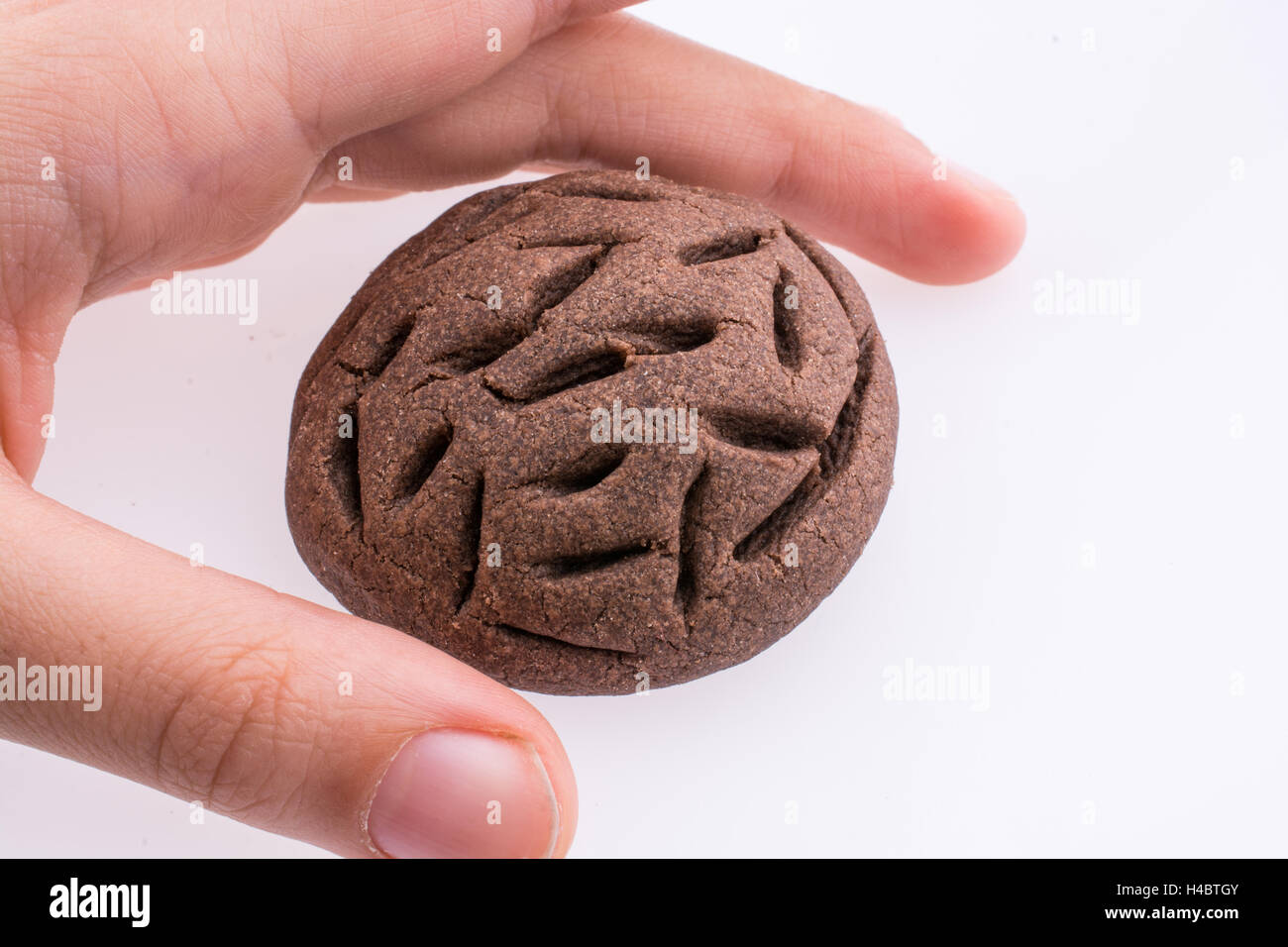 Hand holding a chocolate cookie on a white background Stock Photo - Alamy
