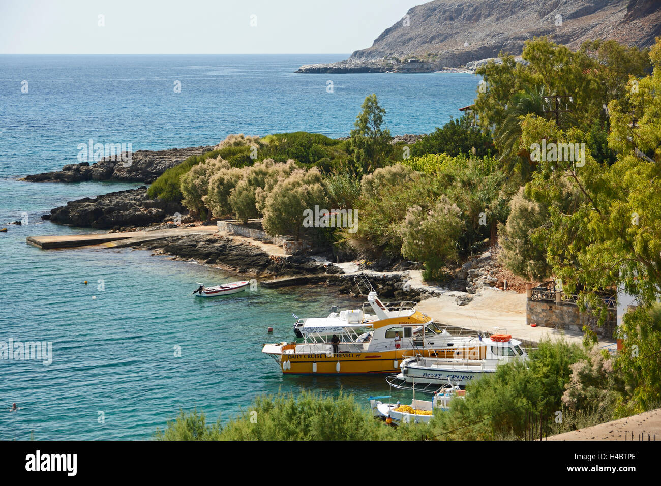 Finix hi-res stock photography and images - Alamy