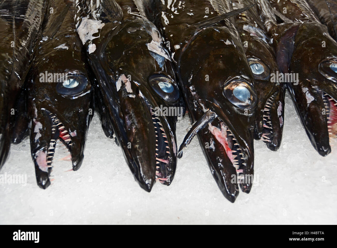 Funchal, scabbardfish in the market hall Stock Photo - Alamy