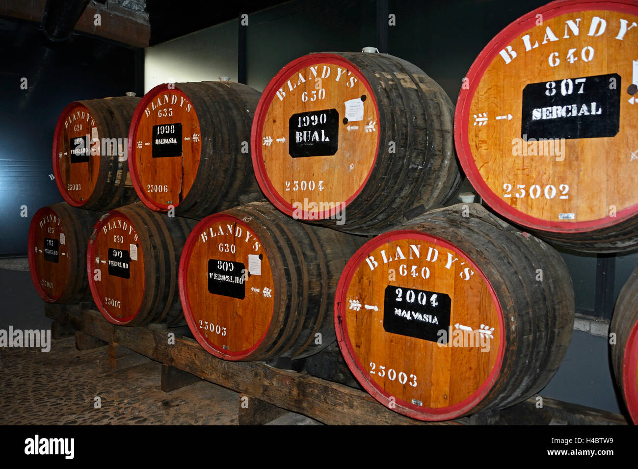 Funchal, wine casks in the winery Blandy Stock Photo - Alamy