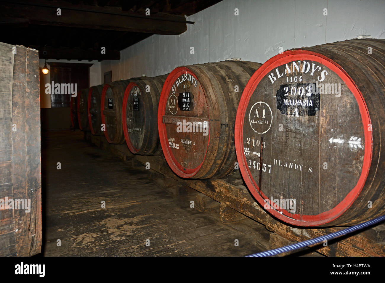 Funchal, wine casks in the winery Blandy Stock Photo - Alamy