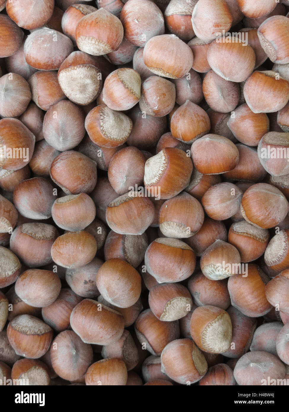 natural ripe hazelnuts as background Stock Photo - Alamy