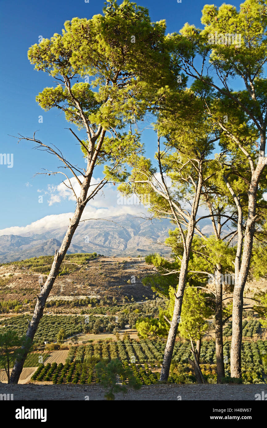 Crete, landscape with Ida mountains Stock Photo - Alamy