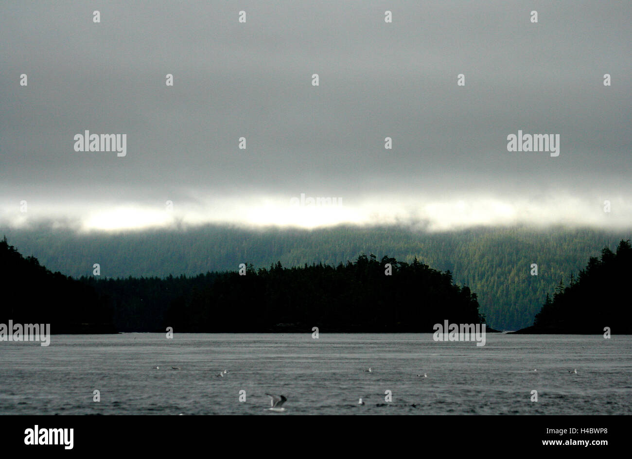 Johnstone strait. Vancouver island. British Columbia. Canada Stock ...