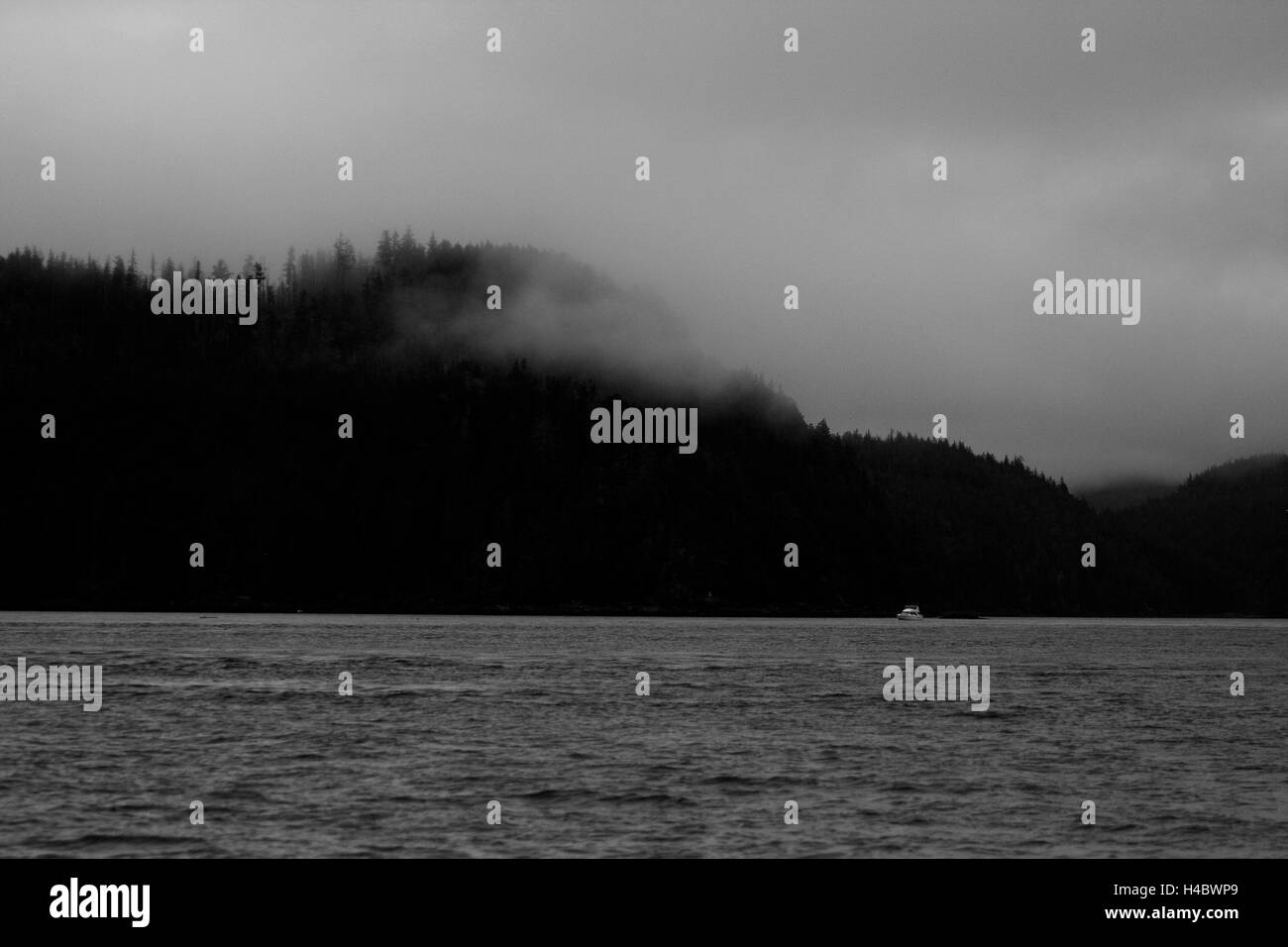 Vancouver island dew Black and White Stock Photos & Images - Alamy